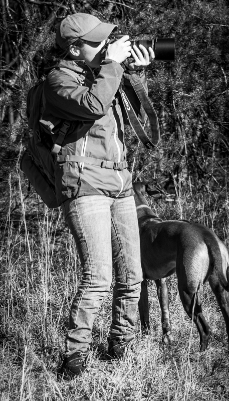 Chicora Rhodesian Ridgebacks – Responsibly & Ethically Bred In Western ...