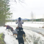 Chicora Rhodesian Ridgebacks – Responsibly & Ethically Bred In Western ...