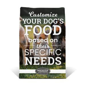 About | Chicora Rhodesian Ridgebacks